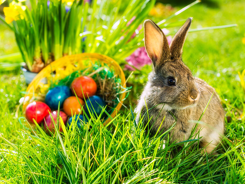 Easter Weekend - 2022