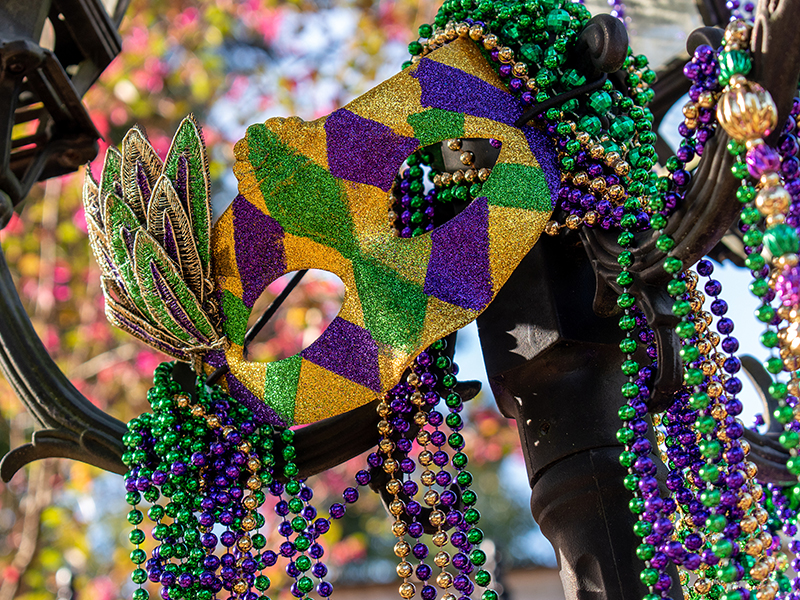 Mardi Gras & Color Fun Run Weekend