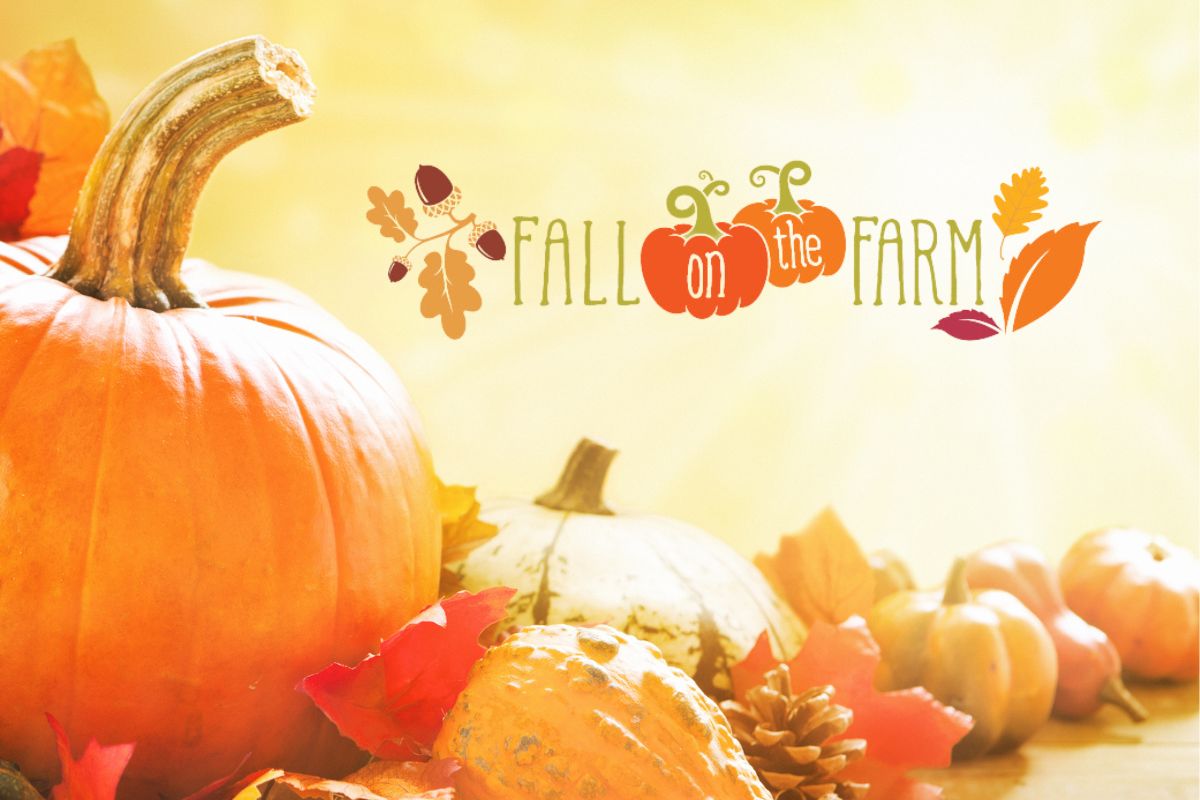 FALL ON THE FARM