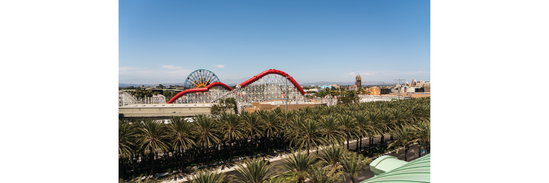 RunDisney 5k, 10k, and Half Marathon